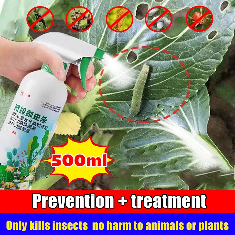 plant insecticide spray 500ml insecticide spray No harm to plants Bug ...