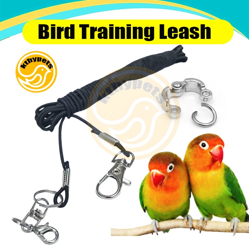 Birds leash Bird flying training rope with bird training ring for ...