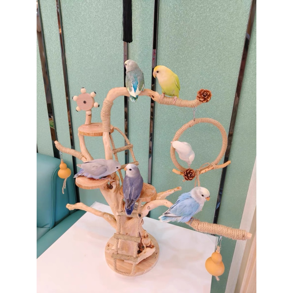 Parrot Stand Cockatiel Lovebird Parrot Stand Desktop Floor Standing ...