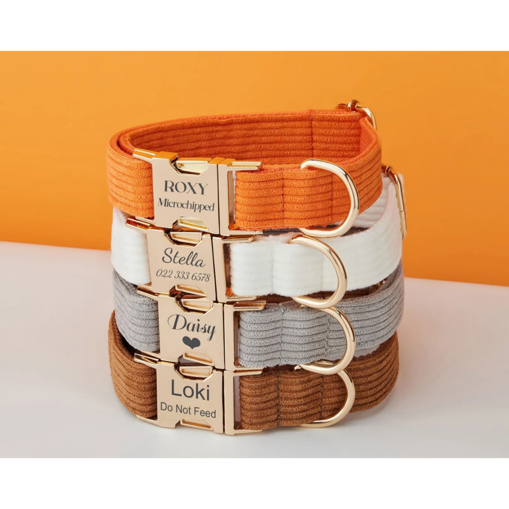 Multiple Colour Corduroy Personalise Dog Collar Leash Set with Bow ...