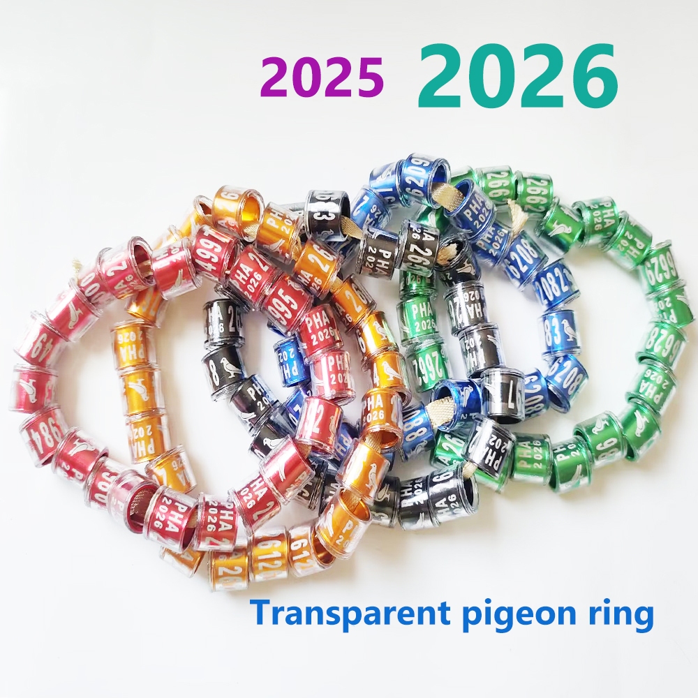 2026 PHA Transparent Aluminum Pigeon Ring 8mm Pigeon Parrot Leg Ring ...