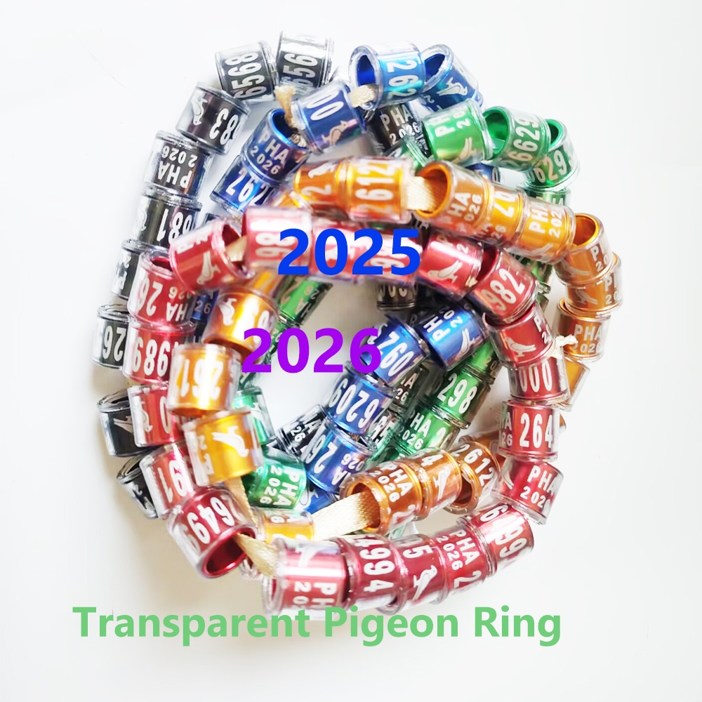 2026 10/20/30/50pcs PHA Transparent Aluminum Pigeon Ring Rings 8mm ...