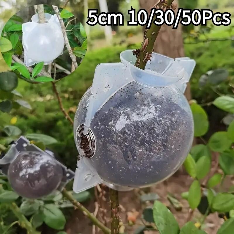 10/30/50PCS Reusable Plant High Pressure Propagation Ball Rooting ...