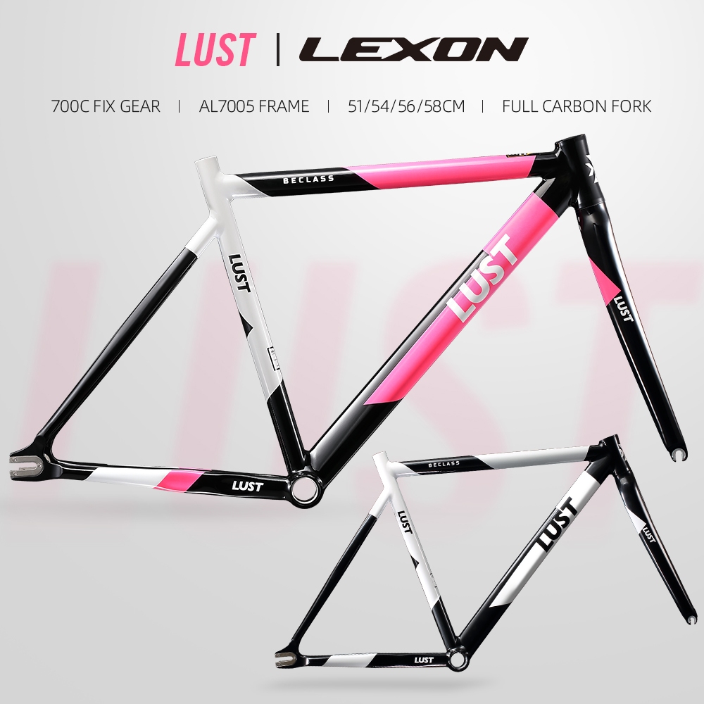 Bike Frame Set AL6066 Extra Light Track Frame/Single Speed Road Bike ...