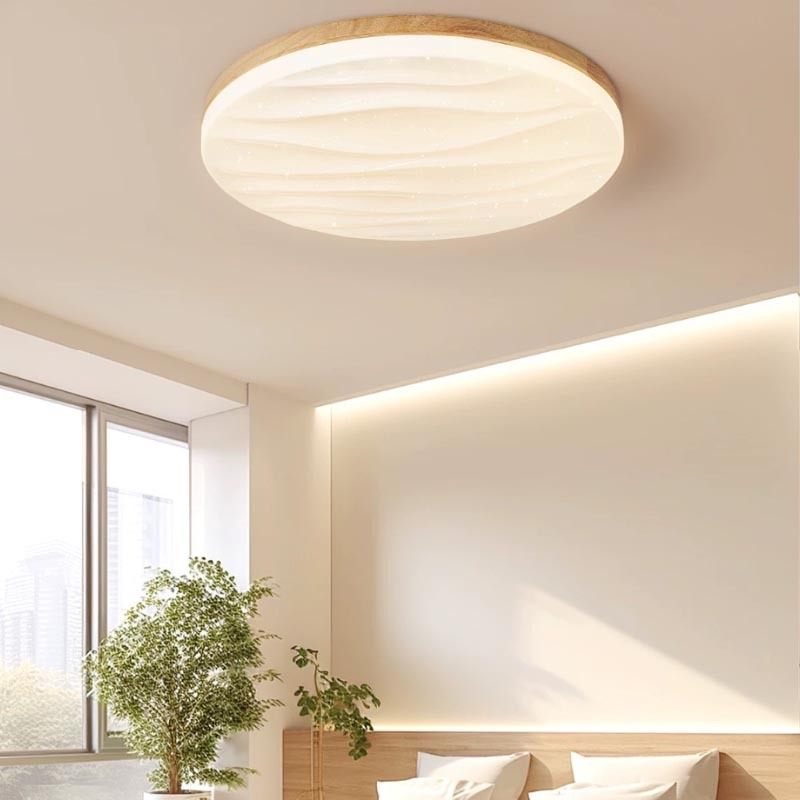 ENG_LIGHTING Ceiling Lamp Modern Led Ceiling Light Living Room Light ...