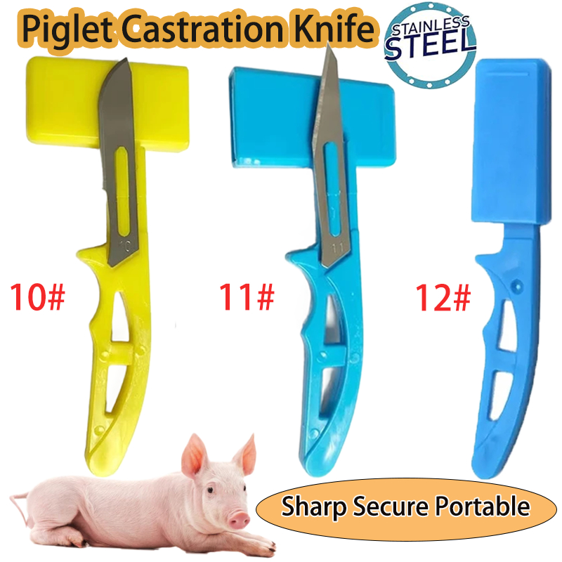 1 Pcs 10# 11# 12# Piglet Castration Knife Piglet Castration Tool Piglet Trend Knife Pig ...