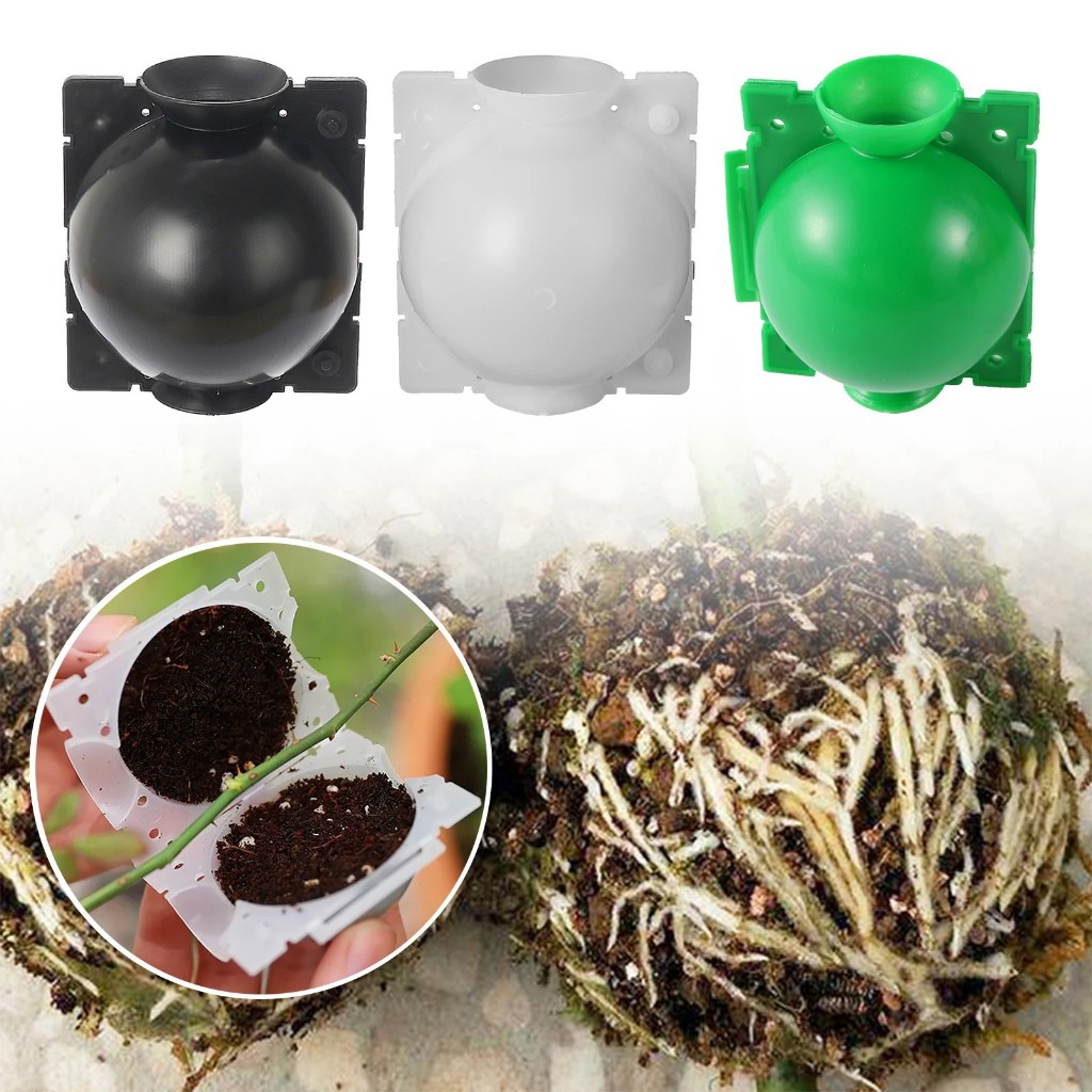 Plant Root Ball High Pressure Grafting Fruit Tree Grafting ...