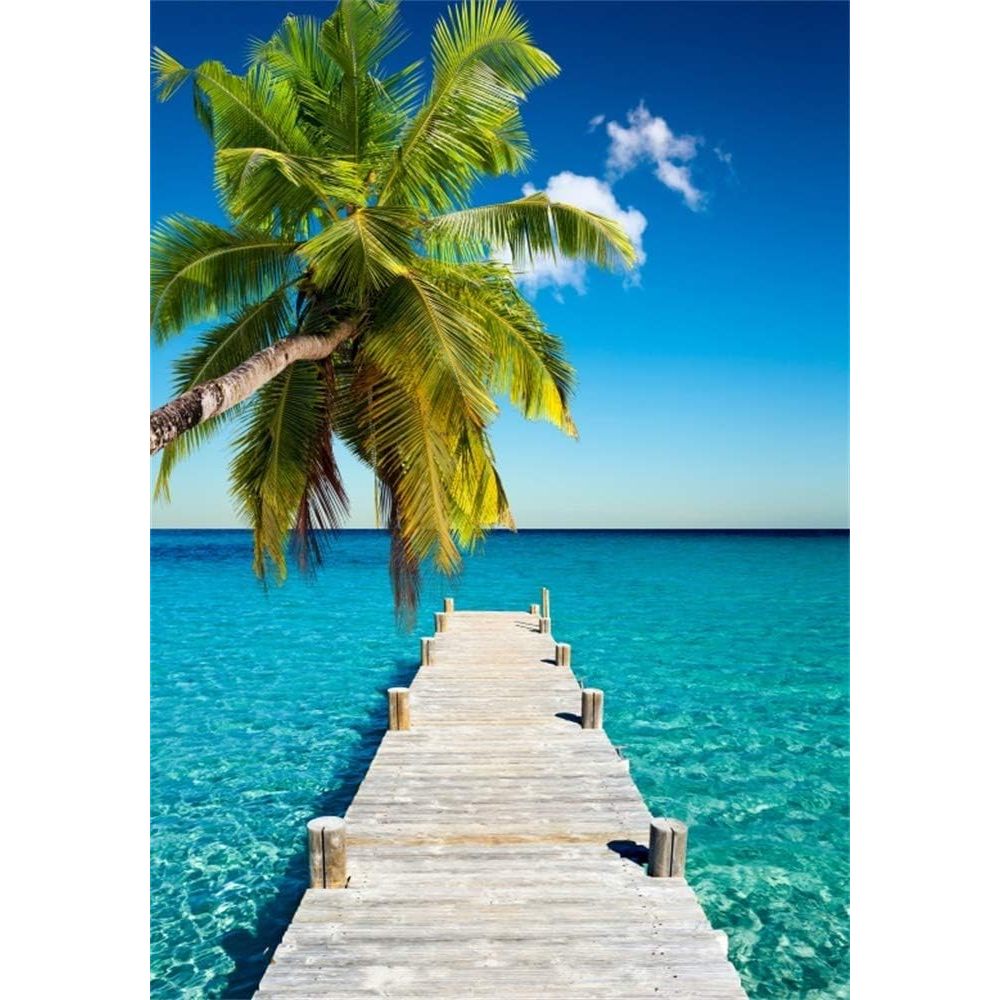 5x7ft Seaside Dock Background for Photography Palm Tree Beach Long ...