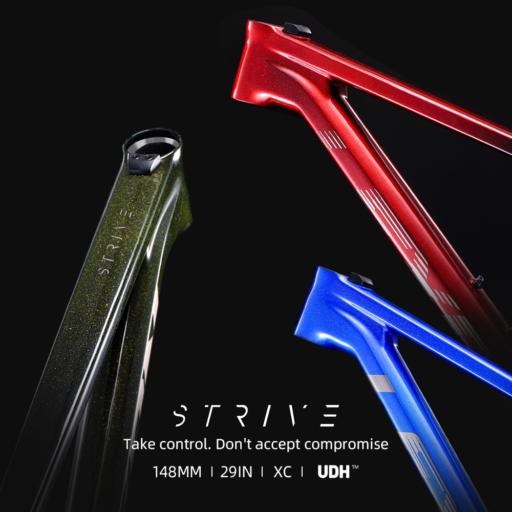 2025 LEXON STRIVE Carbon MTB Frame 29er Mountain BikeParts 148*12mm MTB ...