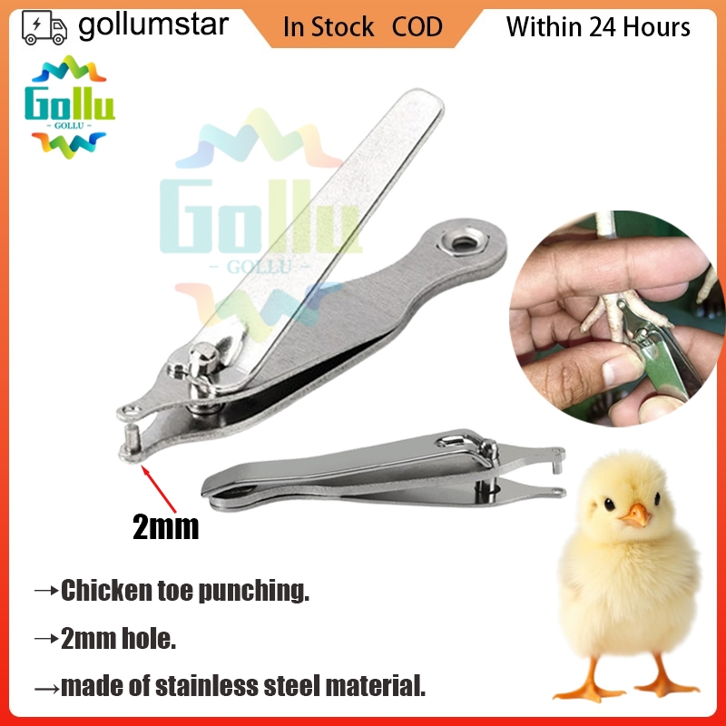 Chicks Toe Puncher(Nail Cutter type)for Gamefowl Rooster and Chick ...