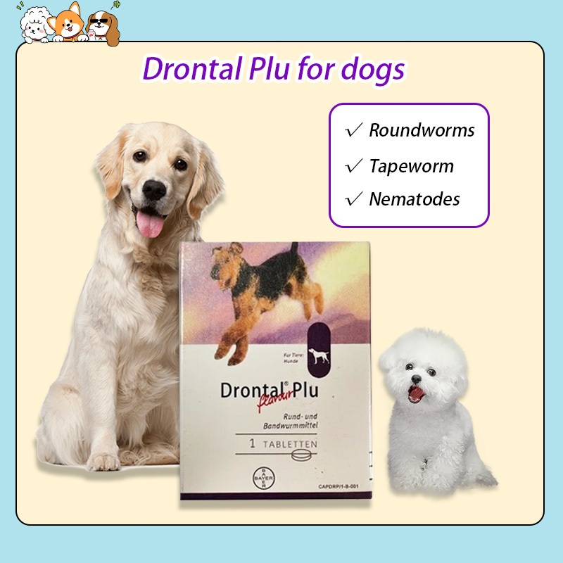 Bayer Drontal Plu Dog deworming medicine 1 Tablet deworming for dog ...