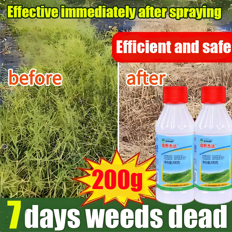 Best value Clearout grass killer Glyphosate Effective within 3 days ...