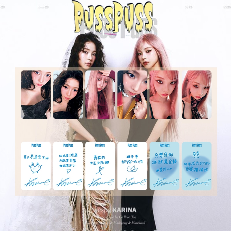 2-6pcs/set Concert Acrylic Stand HBD PARTY Lomo Cards SYNK:PAPALLEL ...