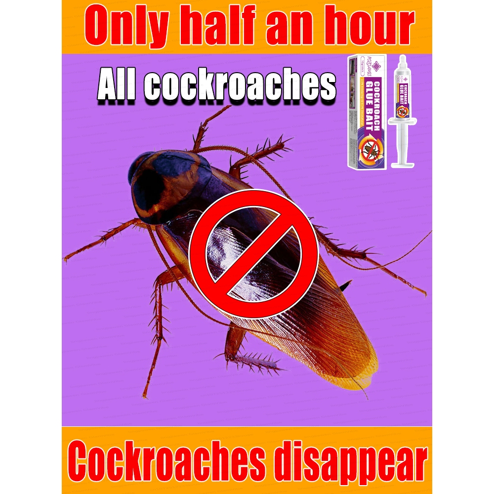 Powerful Cockroach Bait House Safe Non-Toxic Cockroach Killer House ...