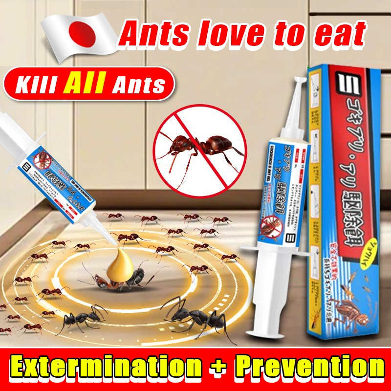 [All ants love to eat] DPP Ant bait Ant bait killer Anti ants killer ...