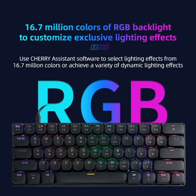 Zeus 61 Key Wired Type C Mechanical Keyboard With Blue Switch RGB ...