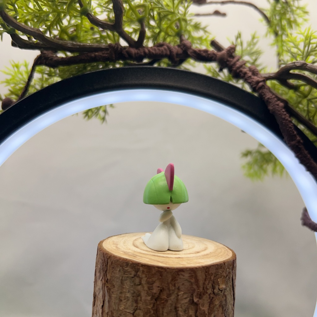 Pokémon Gallade & Gardevoir Evolution Set Figures - Ralts, Kirlia, Mega ...