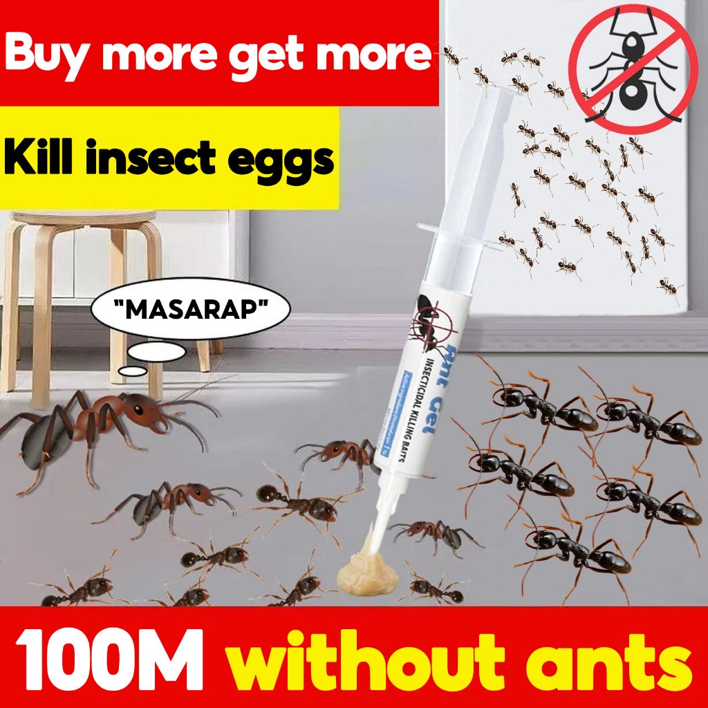 10 years without ants KAMI Ant bait killer Anti ant poison Anti ants ...