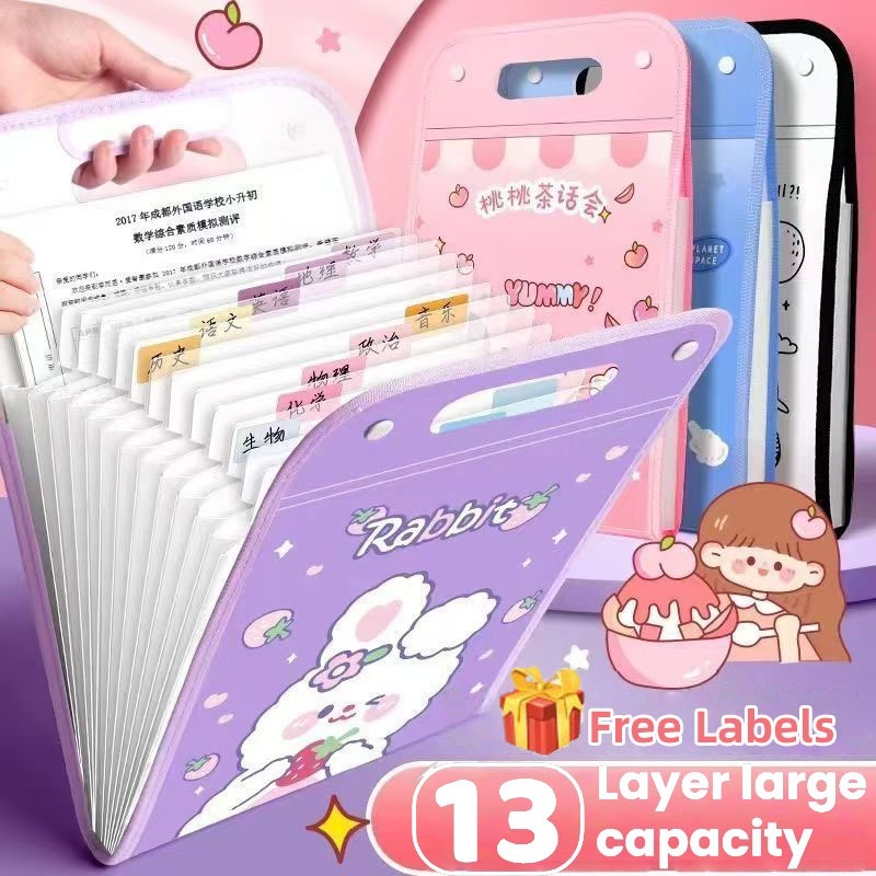 Cartoon Folders Organizer with Handle and Labels 13 Layer Expanding For ...