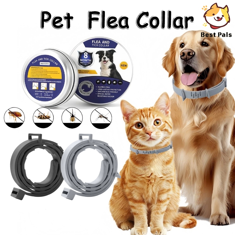 Pet flea Collar 8 Months Long Lasting Protection Against Insects Flea ...