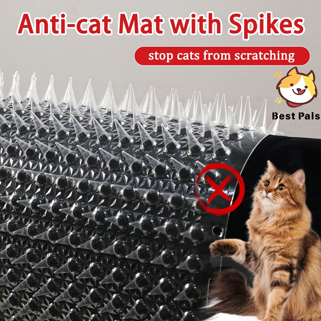 Anti-cat mat with spikes Transparent Anti-cat Thorn Anti-cat Net Cat ...