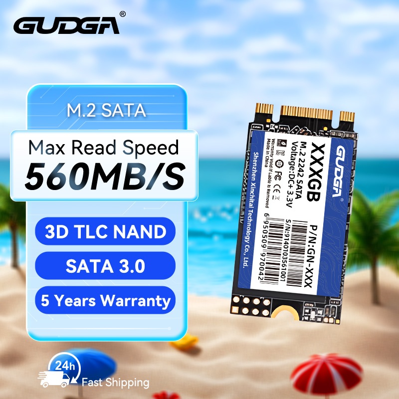 GUDGA SSD M2 SATA 22X42mm M.2 NGFF SATA SSD 64GB 128GB 256GB 512GB Internal Solid Hard State ...