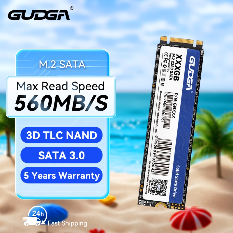 GUDGA M.2 NGFF SATA3 SSD M2 SSD 32GB 128GB 256GB 512GB Internal Hard ...