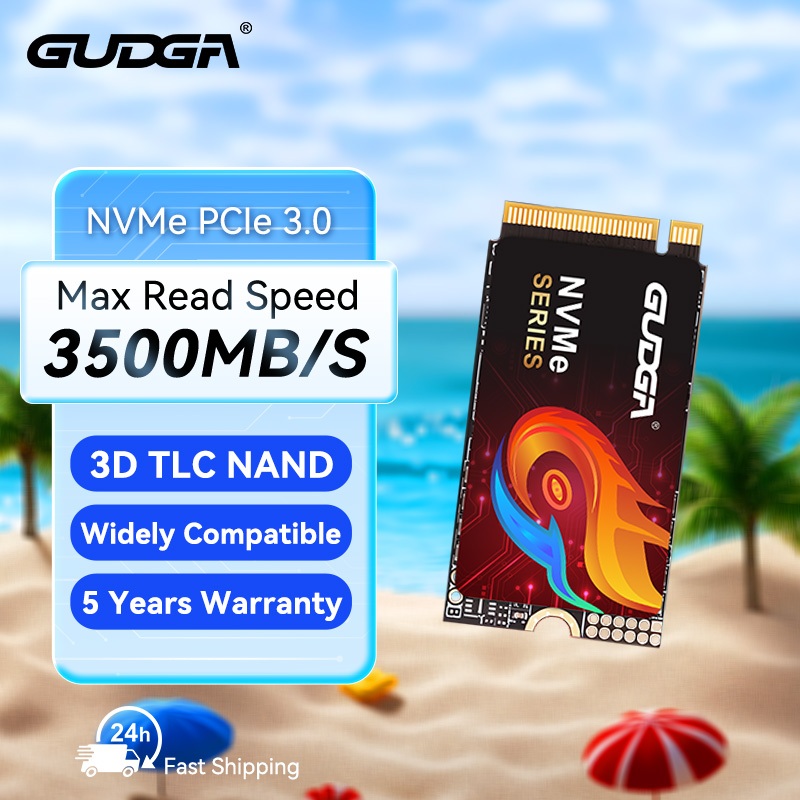 GUDGA M.2 NVMe PCIe 3.0 X4 2242mm SSD 256gb 1TB 128GB 512GB Hard Drive Disk Internal Solid State ...