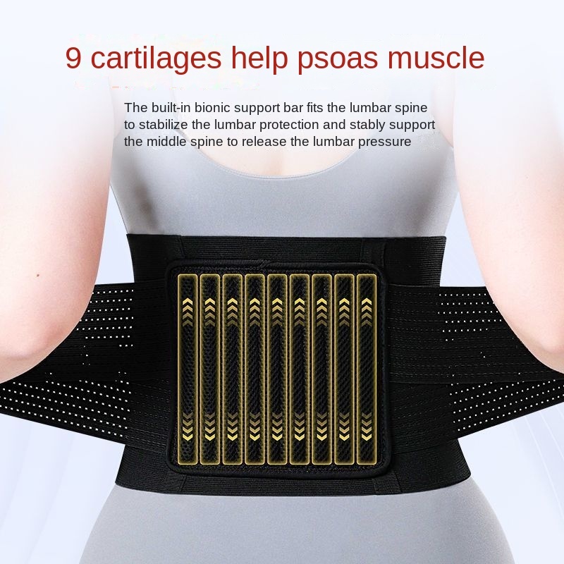 The back brace relieves lower back pain, sciatica, intervertebral disc ...