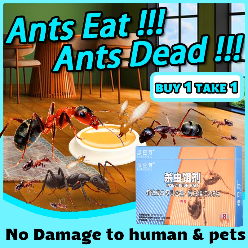 BUY 1 TAKE 1！！！ ant killer ant bait anti ants killer Kill an entire ...