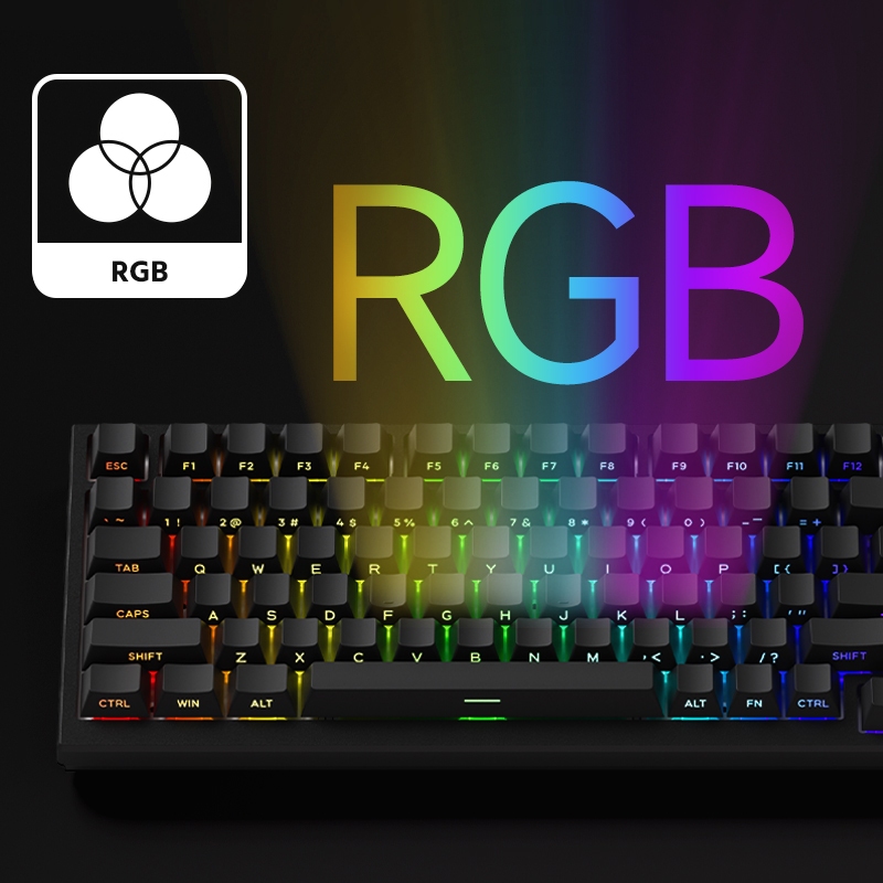 Akko TAC75 HE Black Wired Magnetic Switches Keyboard With SOCD, Rapid ...