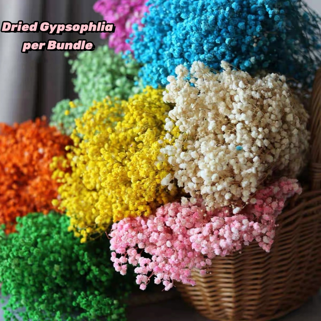 Dried Gypsophlia per Bundle，Dried flowers, bouquet packaging, and ...