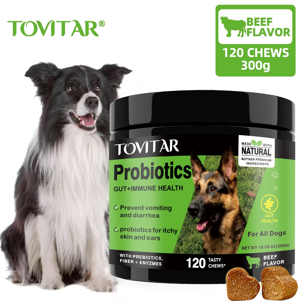 Tovita ® Probiotics Soft chew helps dogs prevent vomiting and promotes ...