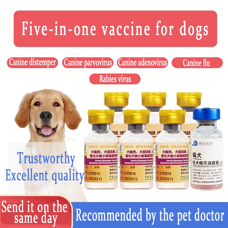 Dog Vaccine Package DHPPi Rabies Protection Puppy Small Breed Core ...