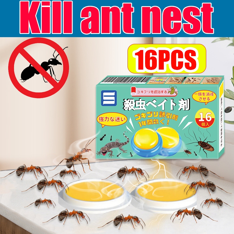 ⭐1 box of 16 pieces FT Ant killer Ant bait Ant repellent Boxed anti ...