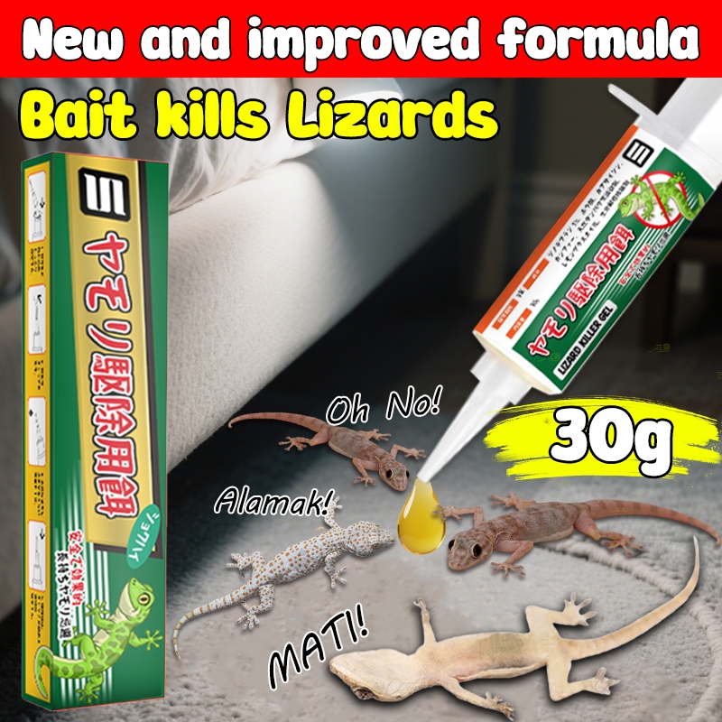 Drop->Attract->Destroy BS Lizard killer Lizard repellent Gecko ...