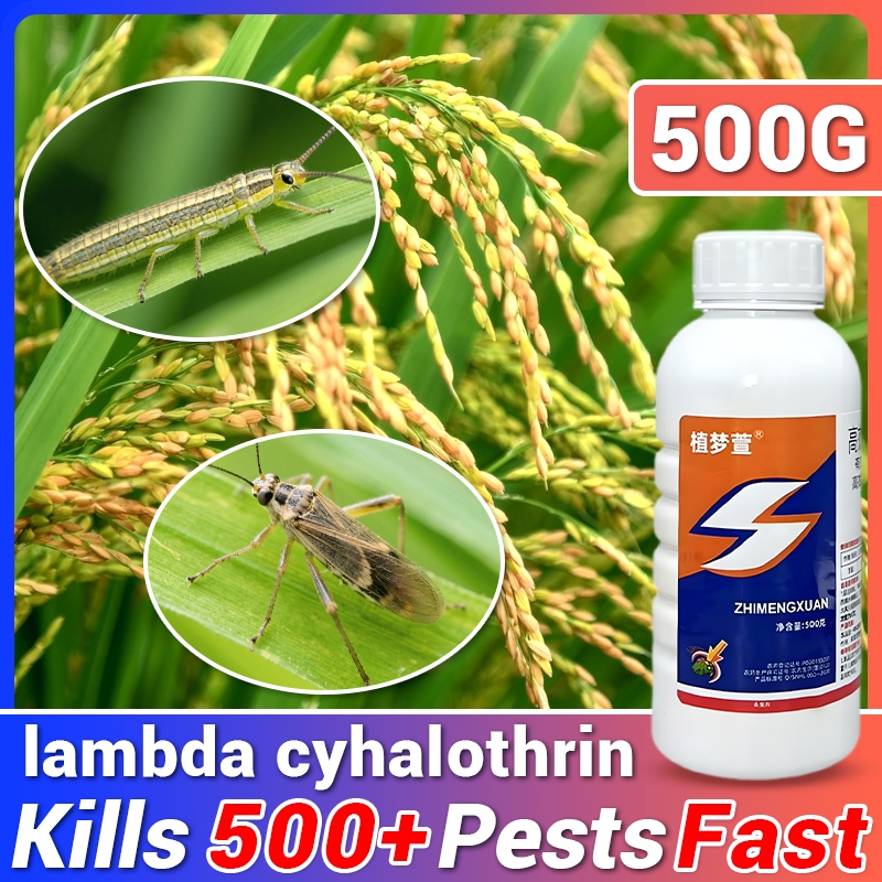Low-Tox, Fast-Kill lambda cyhalothrin insecticide 500g insecticide | Shopee Philippines