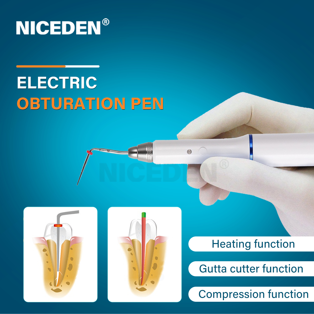 NICEDEN Heating Pen Dental Cordless Wireless Heated Pen 2 Tips ...