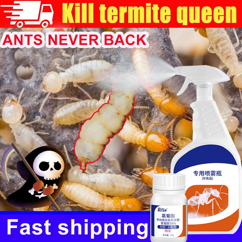 Super Concentrated Termite killer spray 500ml ant spray killer anay ...