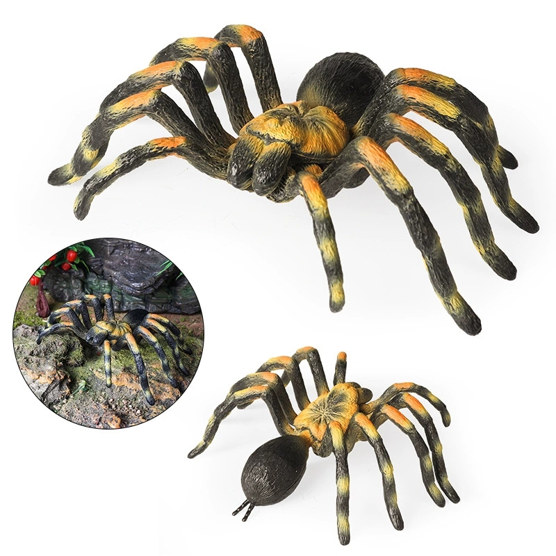 Arthropod Tarantula Poison Spider Simulation Model Children Science ...