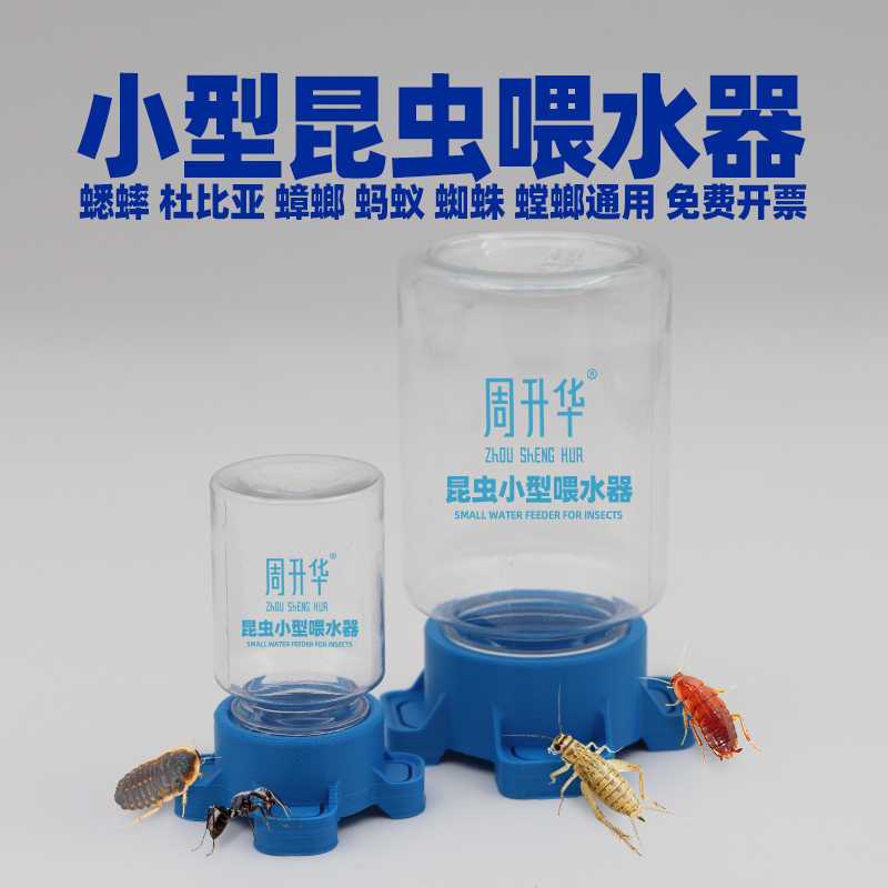 Insect Small Drinking Fountain White Cricket Centipede Spider Ant ...