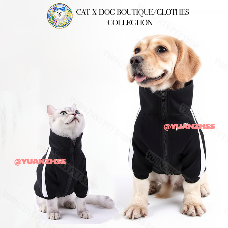 Trendy Pet Fashion - Chic Dog Outfits & Cat Hoodies for Stylish Pets ...