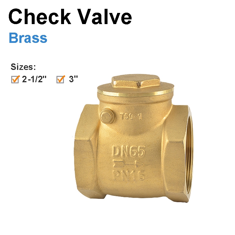 2-1/2" 3 Inch Brass Horizontal Check Valve DN65 DN80 One-way Non-return Valve | Shopee Philippines