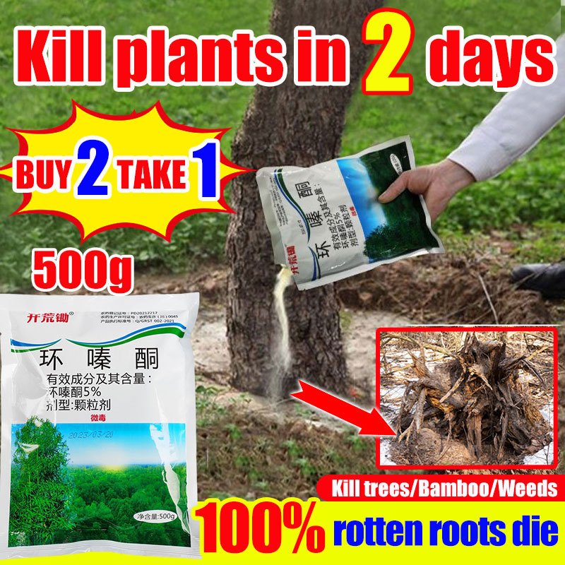 【BUY2 TAKE1】herbicide grass killer Root Rot 500g Contains 5% Hexazinone ...