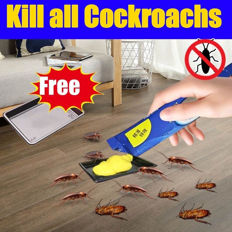 Buy once use 1 year FT Cockroach killer Cockroach bait Chain infection ...