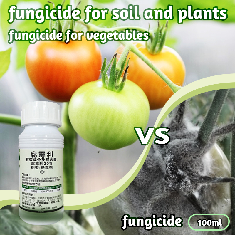 Systemic fungicides Control of fungi on vegetables and fruits Plant ...