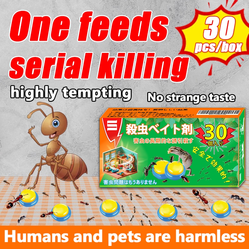 30 pcs/box DM Ant bait Ant repellent for home Ant killer Lure and ...
