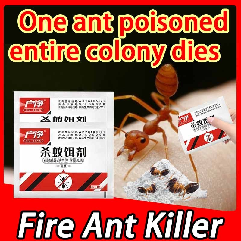 ant bait killer for home 5g 10pcs ant bait ant killer powder ant killer ...
