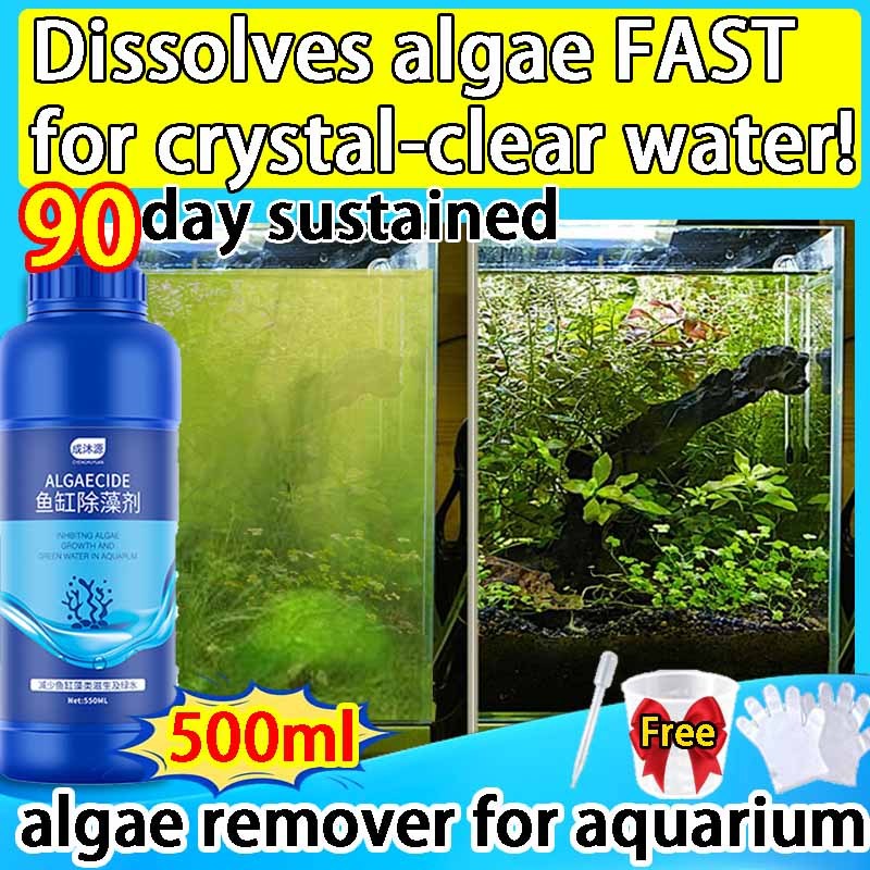 algae remover for aquarium 500ml algae remover anti algae for aquarium ...