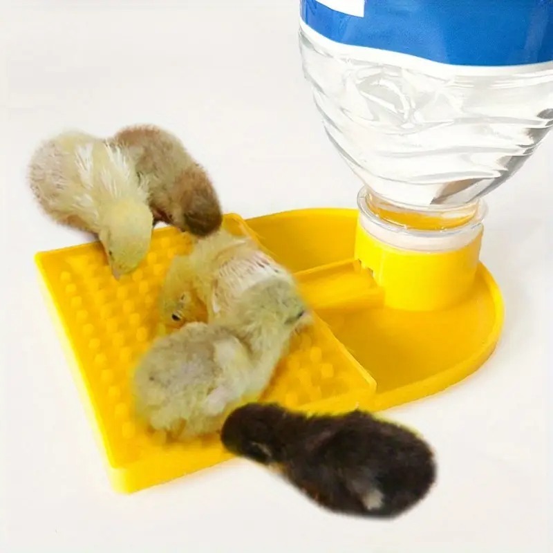 Chicken Feeder Waterer, Used To Prevent Drowning, Very Suitable For ...